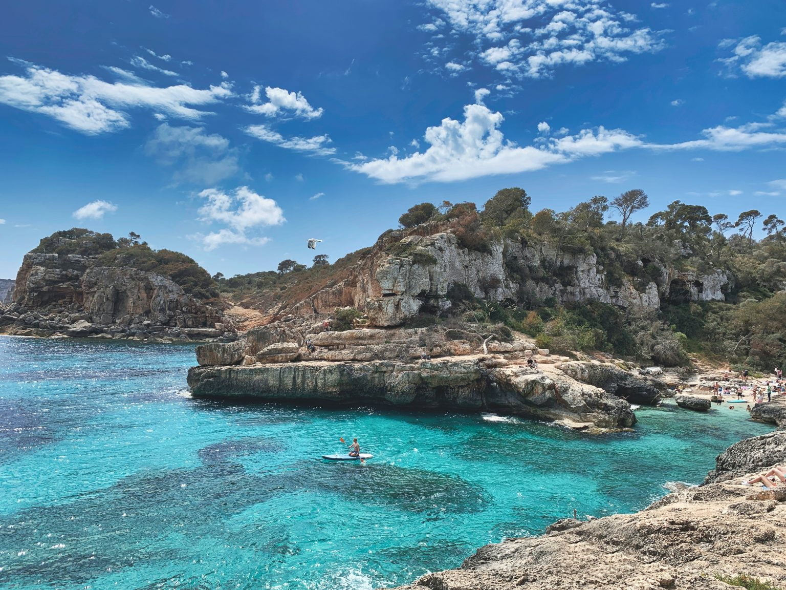 Las mejores playas y calas de la Isla de Mallorca que debes visitar ...